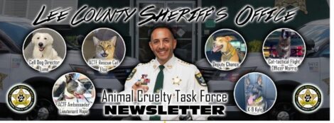 Charity hockey game to benefit Lee County Sheriff’s Office Fallen ...